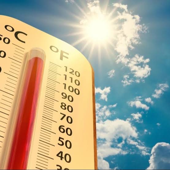 Temperature set to soar in TN: IMD - News Today | First with the news