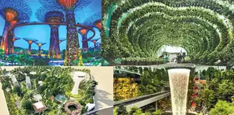 Kalaignar Centenary Park: A place for nature-lovers - News Today ...